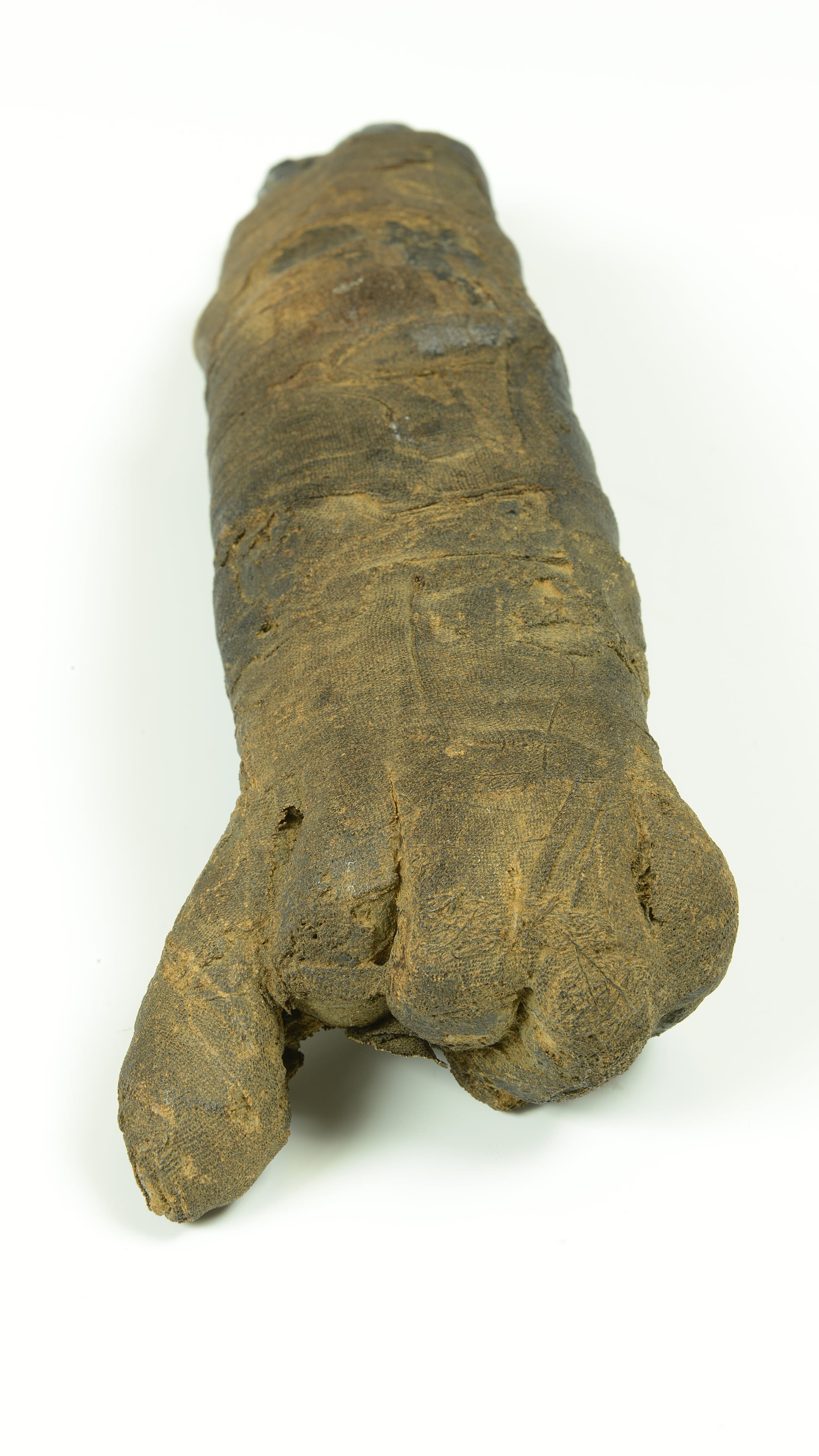 DU Oriental Museum Object Highlights Tour